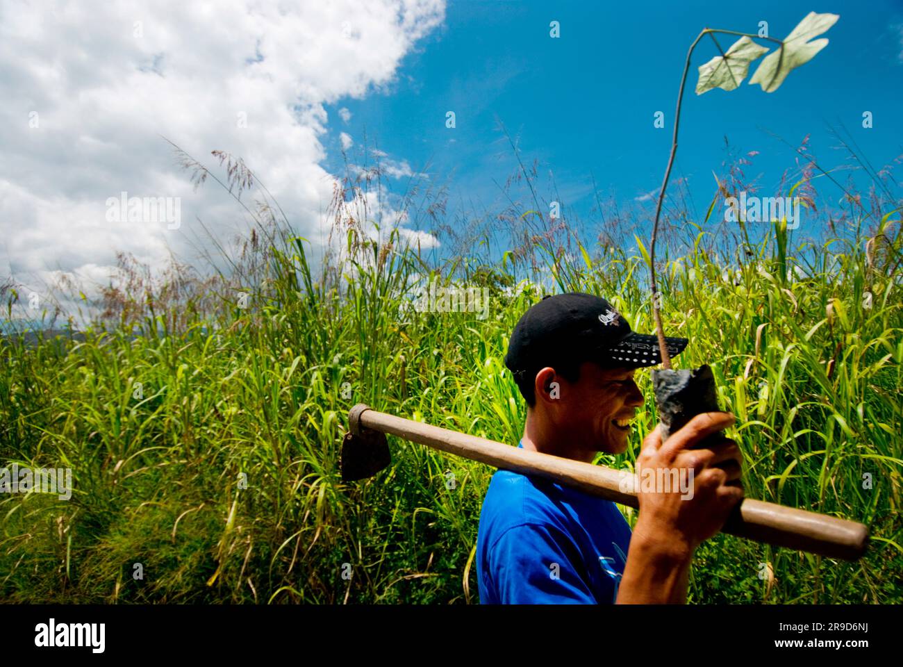 A Man Walks With A Sapling Tree He Is About To Plant As Part Of A Reforestation Program Stock