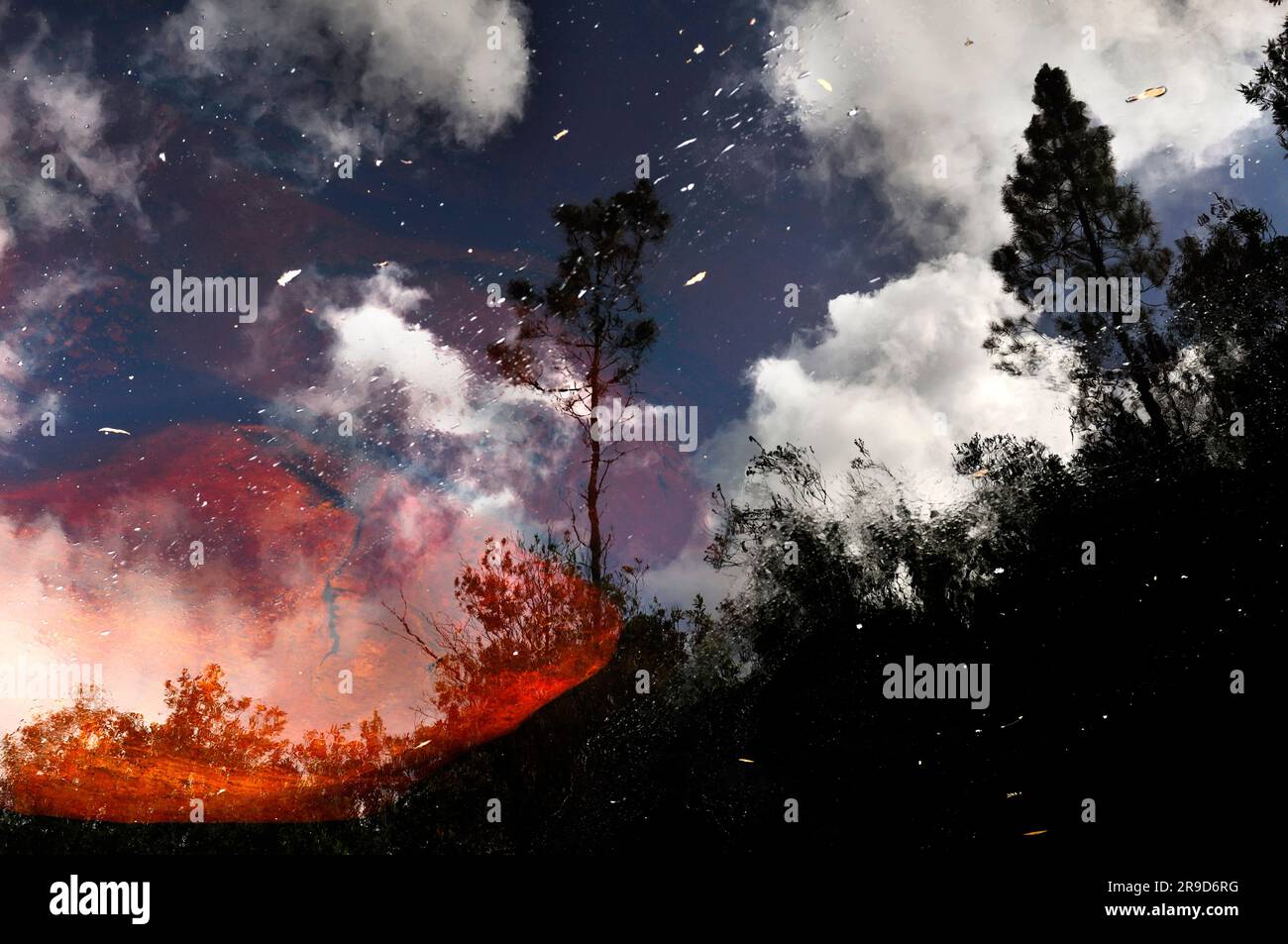 A reflection in the Kruis River in the Tsitsikamma Forest near ...