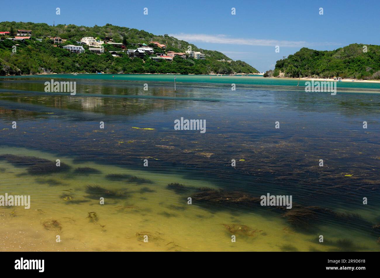 Lagoon at Sedgefield, Garden Route, Western Cape, South Africa Stock ...
