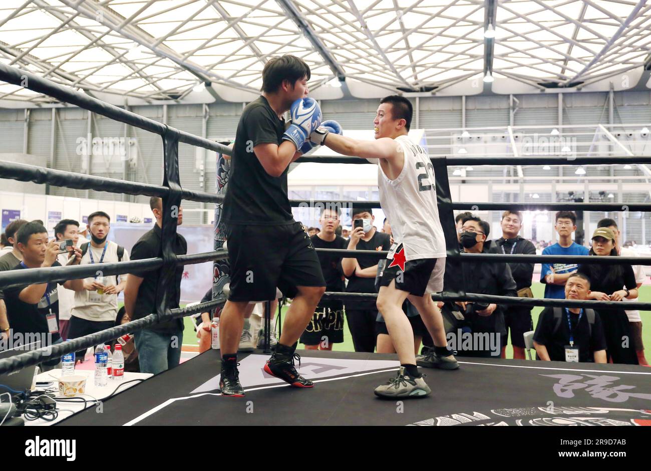 International boxing match hi-res stock photography and images - Alamy