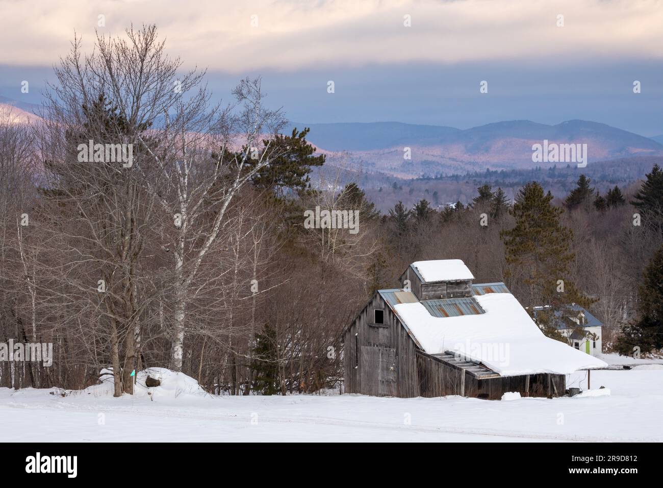 Whitingham hi-res stock photography and images - Alamy