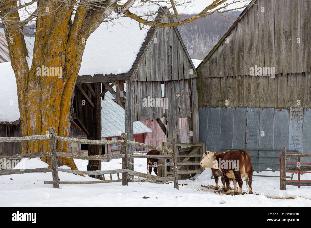 Reading vt vermont hi-res stock photography and images - Alamy