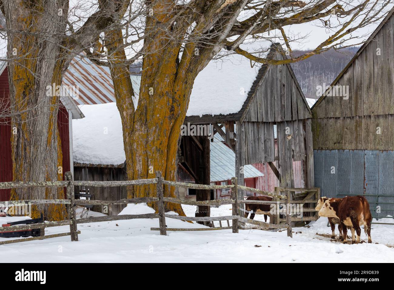 Reading vt vermont hi-res stock photography and images - Alamy