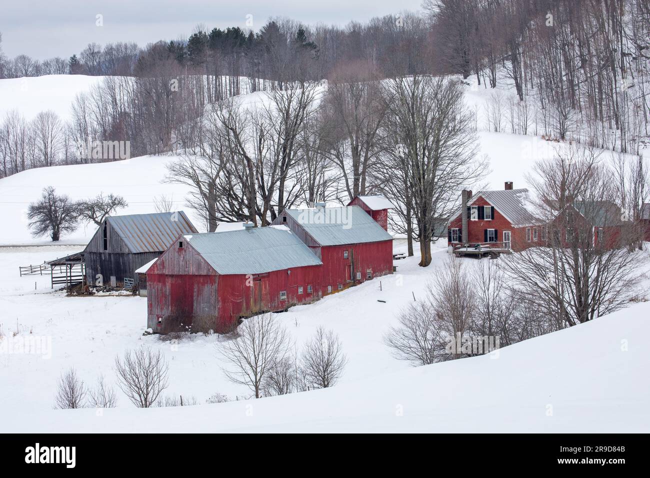 Reading vt vermont hi-res stock photography and images - Alamy
