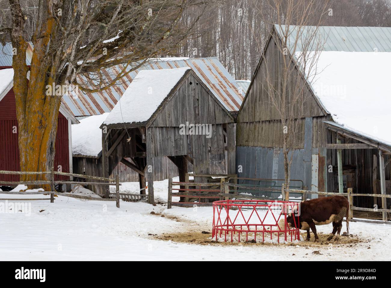 Reading vt vermont hi-res stock photography and images - Alamy