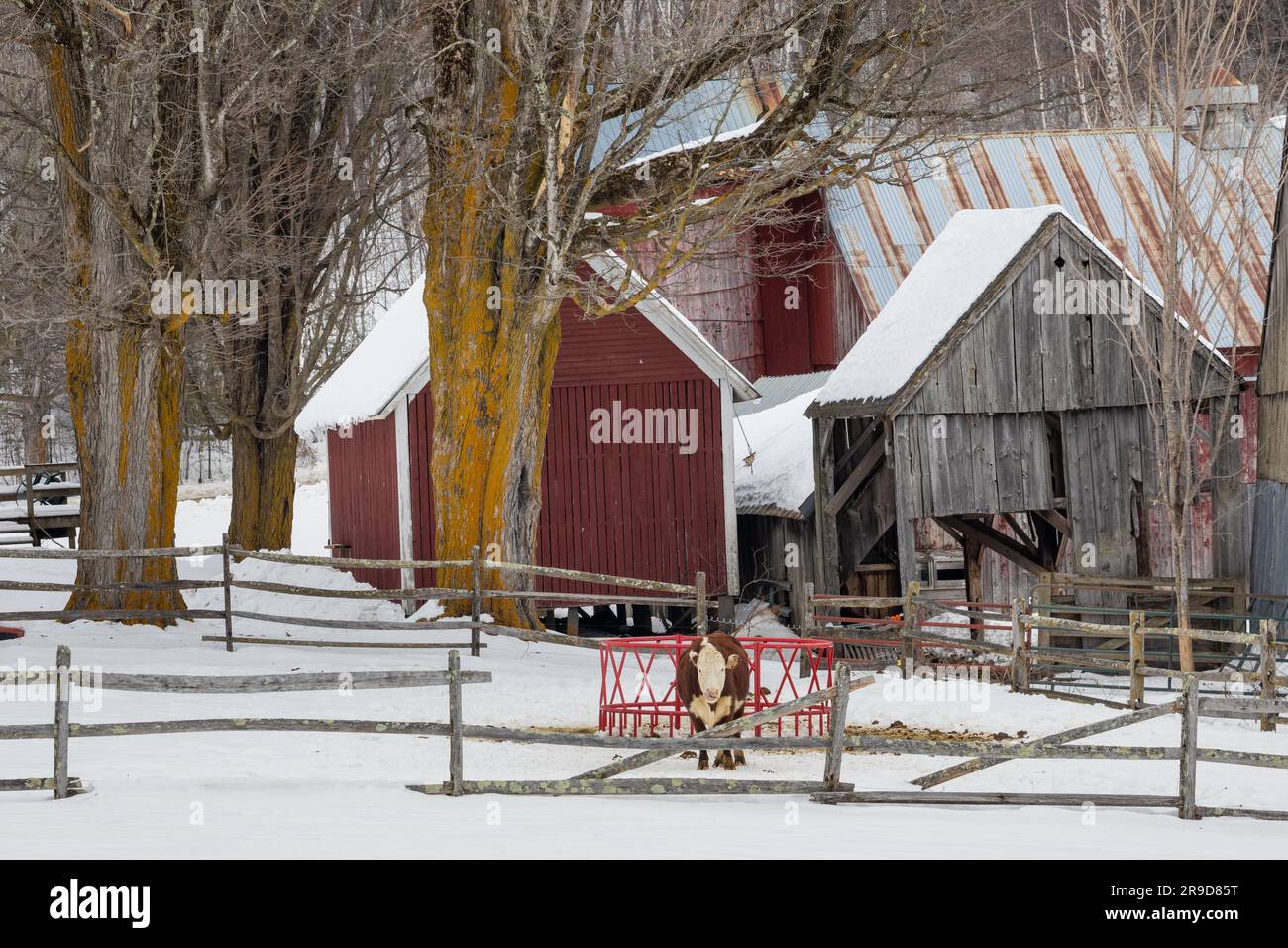 Reading vt vermont hi-res stock photography and images - Alamy