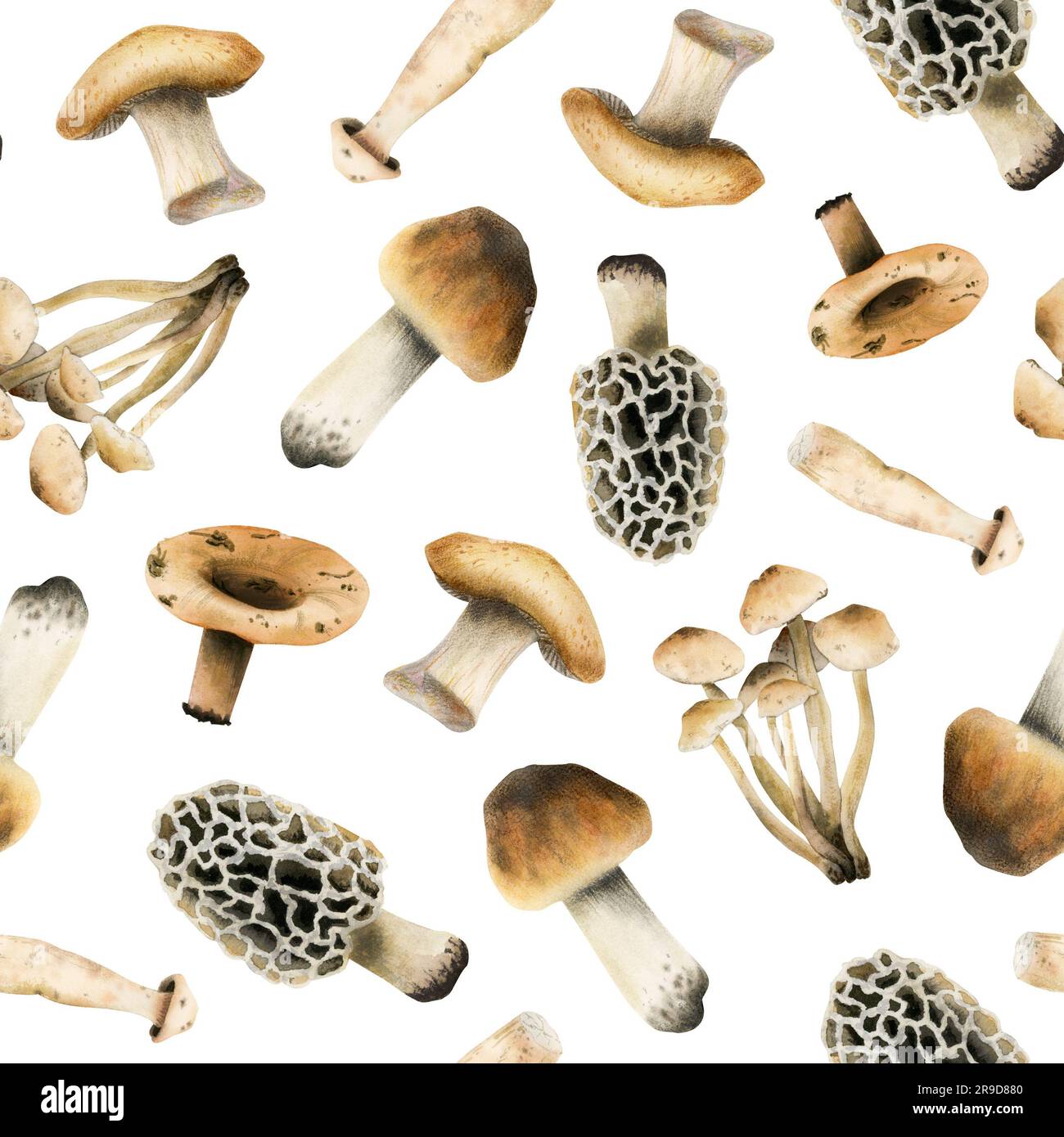 Edible brown mushrooms watercolor seamless pattern on white background ...