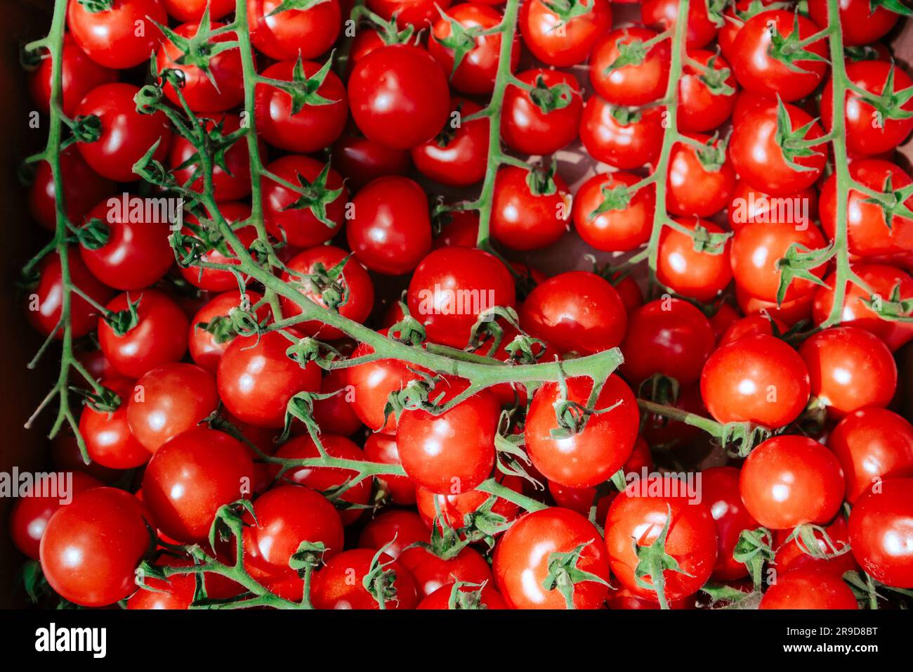 Mini tomate cherry hi-res stock photography and images - Alamy