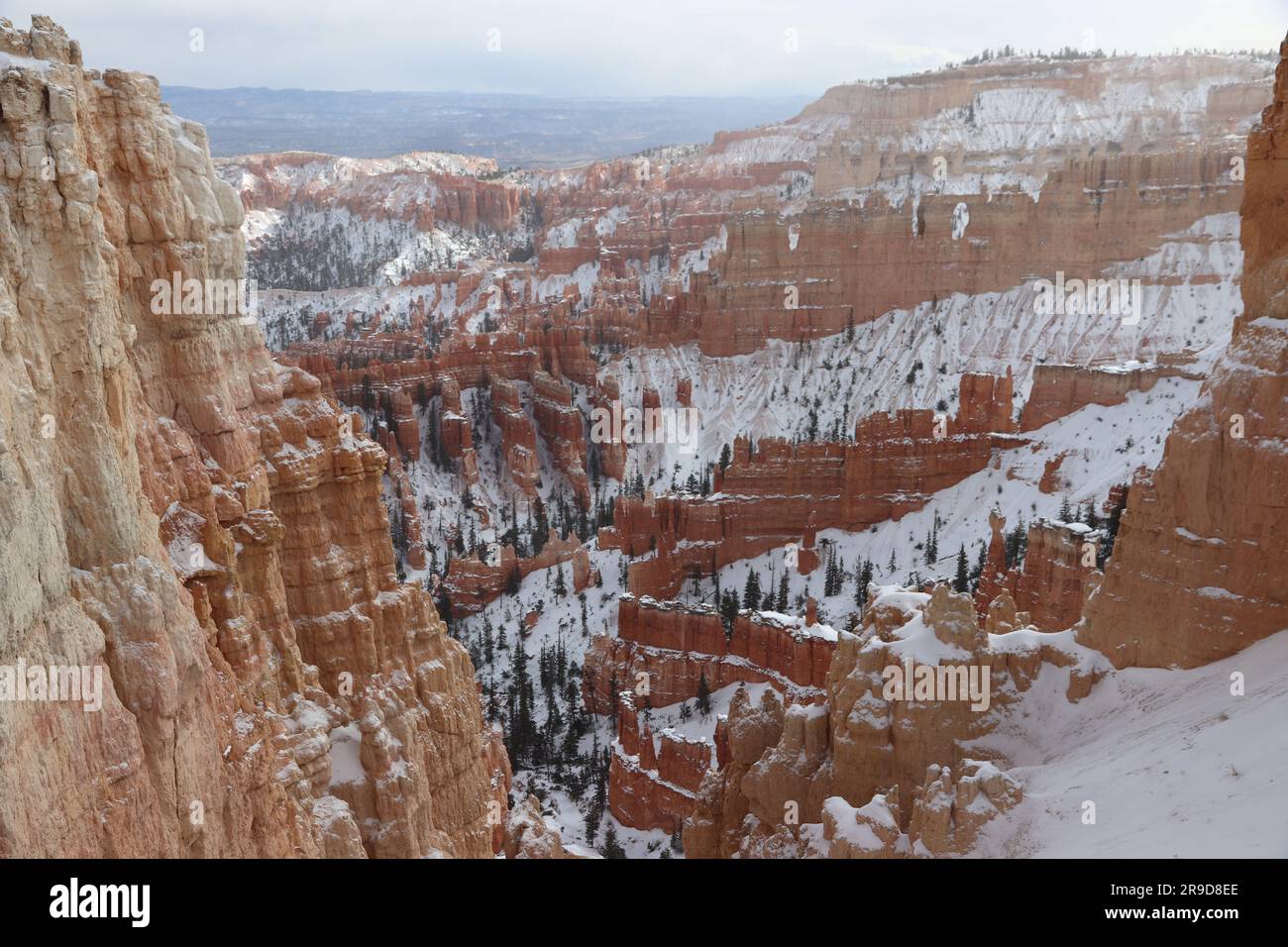 Bryce Canyon in Utah - US Stock Photo - Alamy