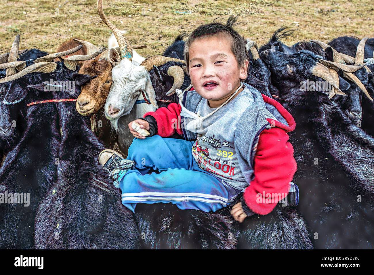 Cheeky style hi-res stock photography and images - Alamy