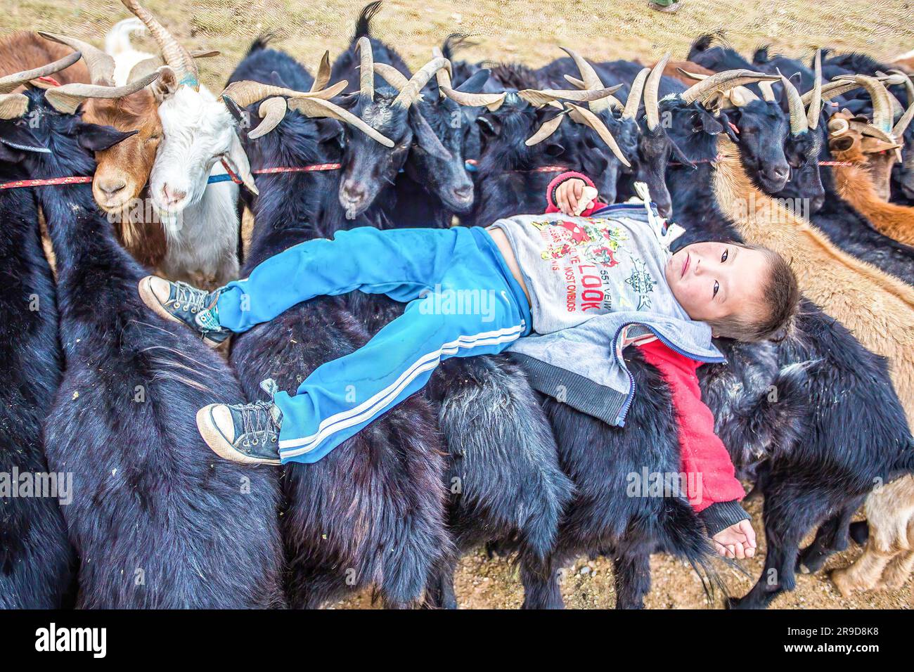 Cheeky style hi-res stock photography and images - Alamy