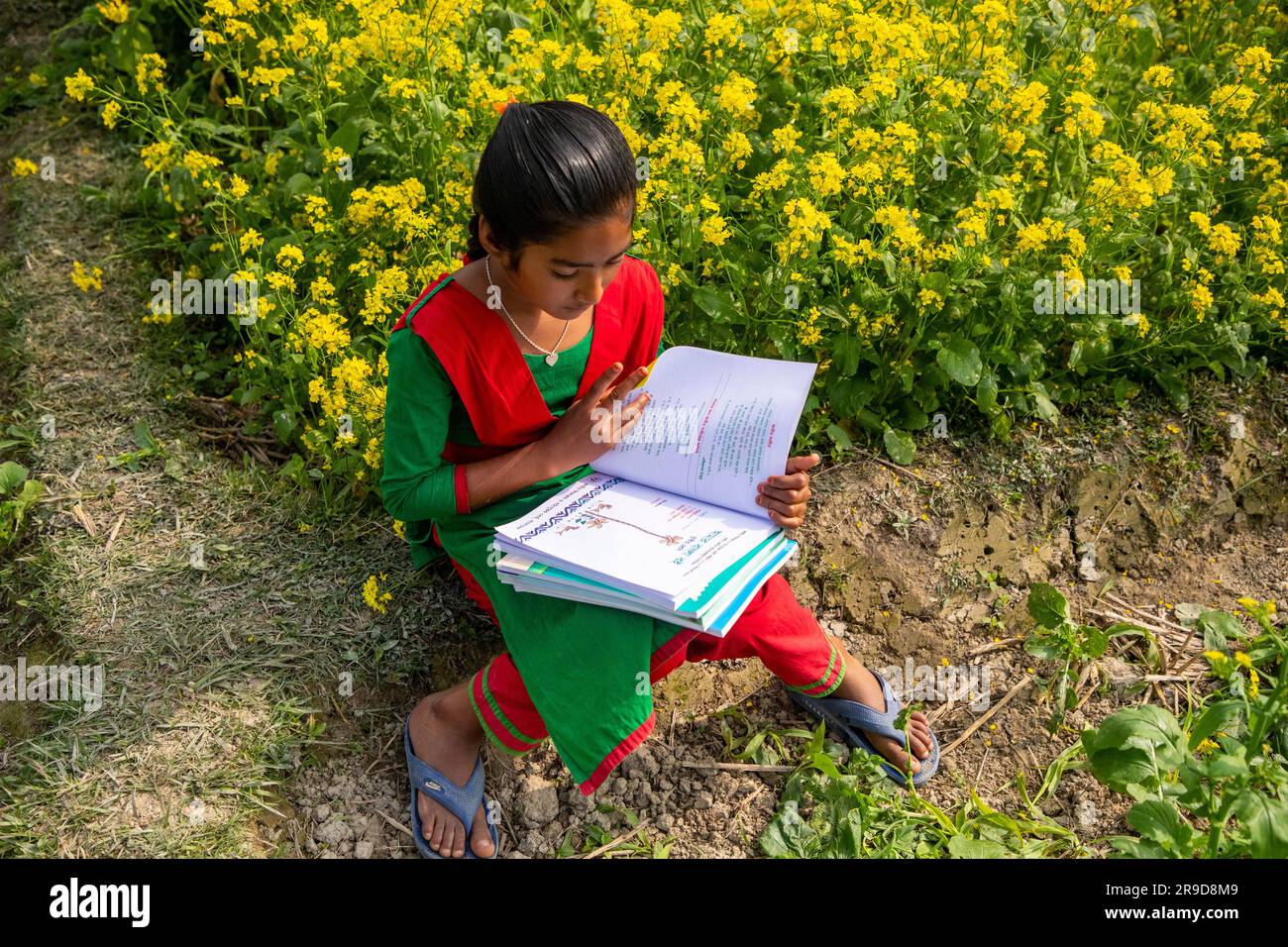 A little girl looks her new books as she get for new class, distributed ...
