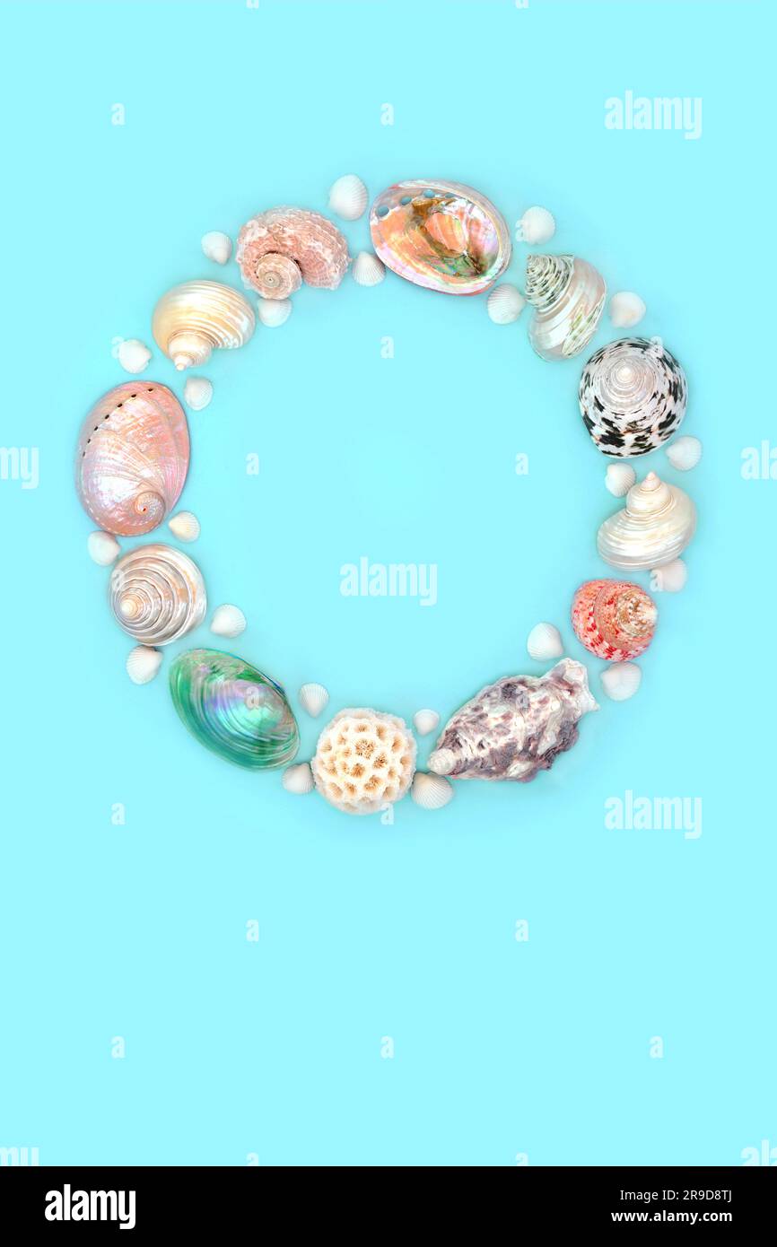 Mother of pearl seashell wreath on pastel blue background. Large collection of exotic and ...