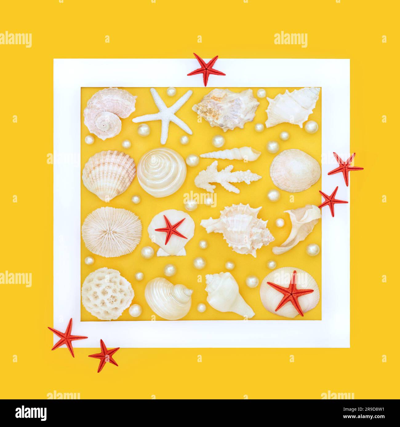 Seashell sea life with pearls and red starfish. Border with assorted ...