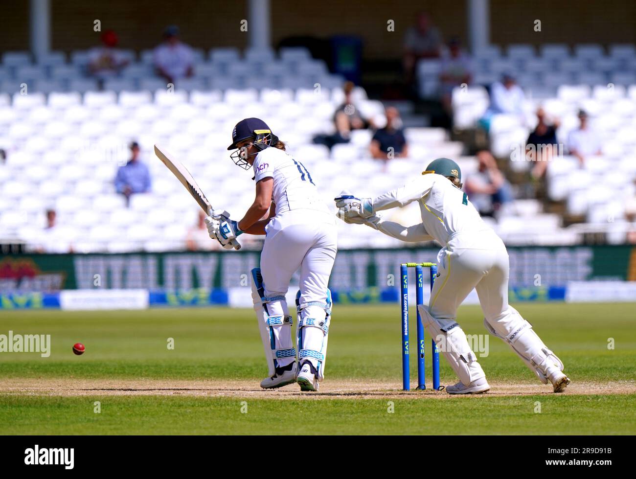 2023 ashes hi-res stock photography and images - Alamy
