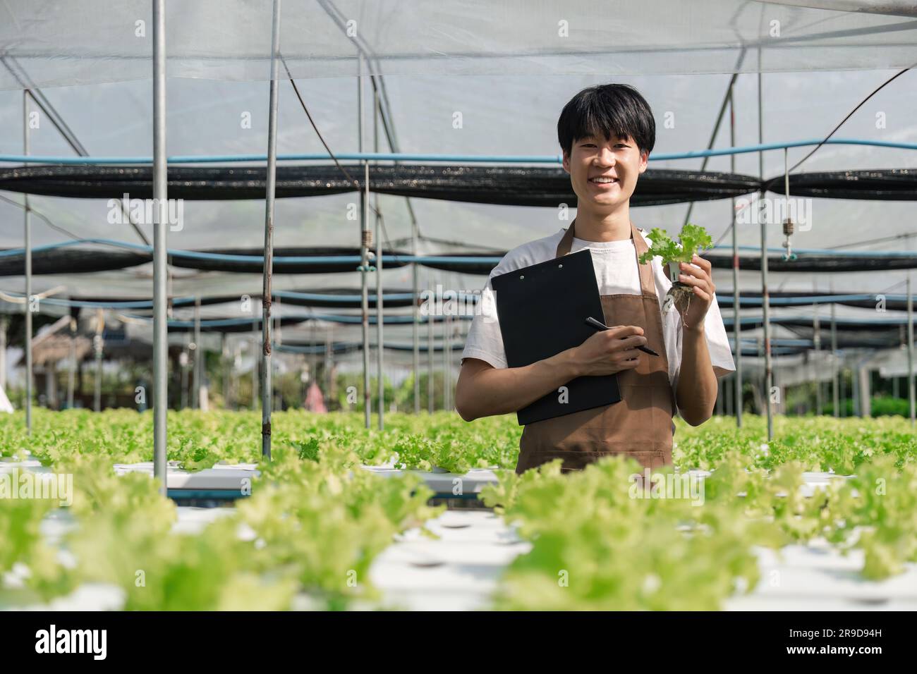 farmer with checking sustainable farming growth, progress or preparing ...