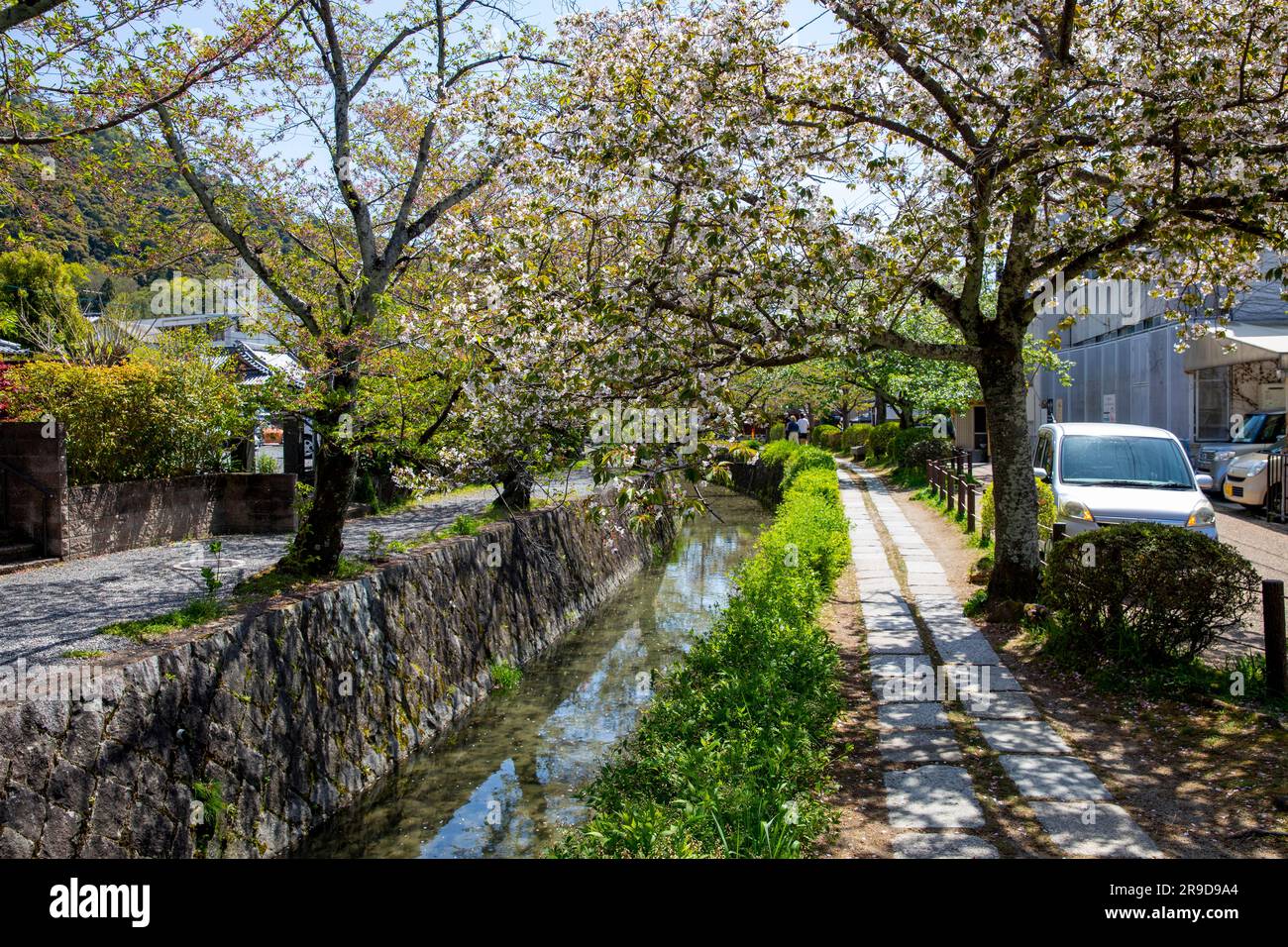 The Philosophers path walk in Kyoto Japan, picturesque scenic walk ...