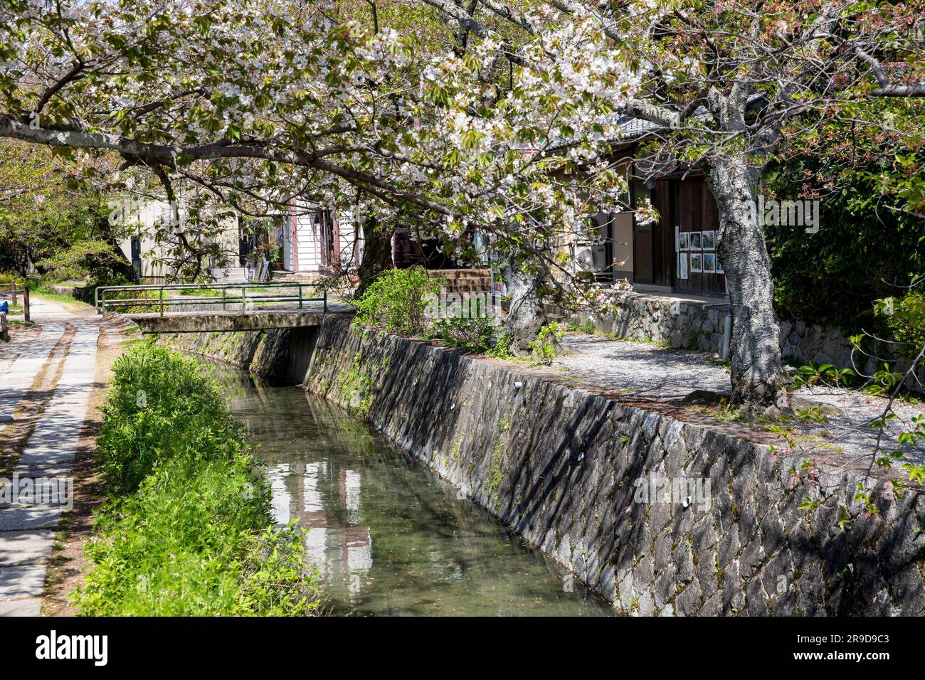 The Philosophers path walk in Kyoto Japan, picturesque scenic walk ...