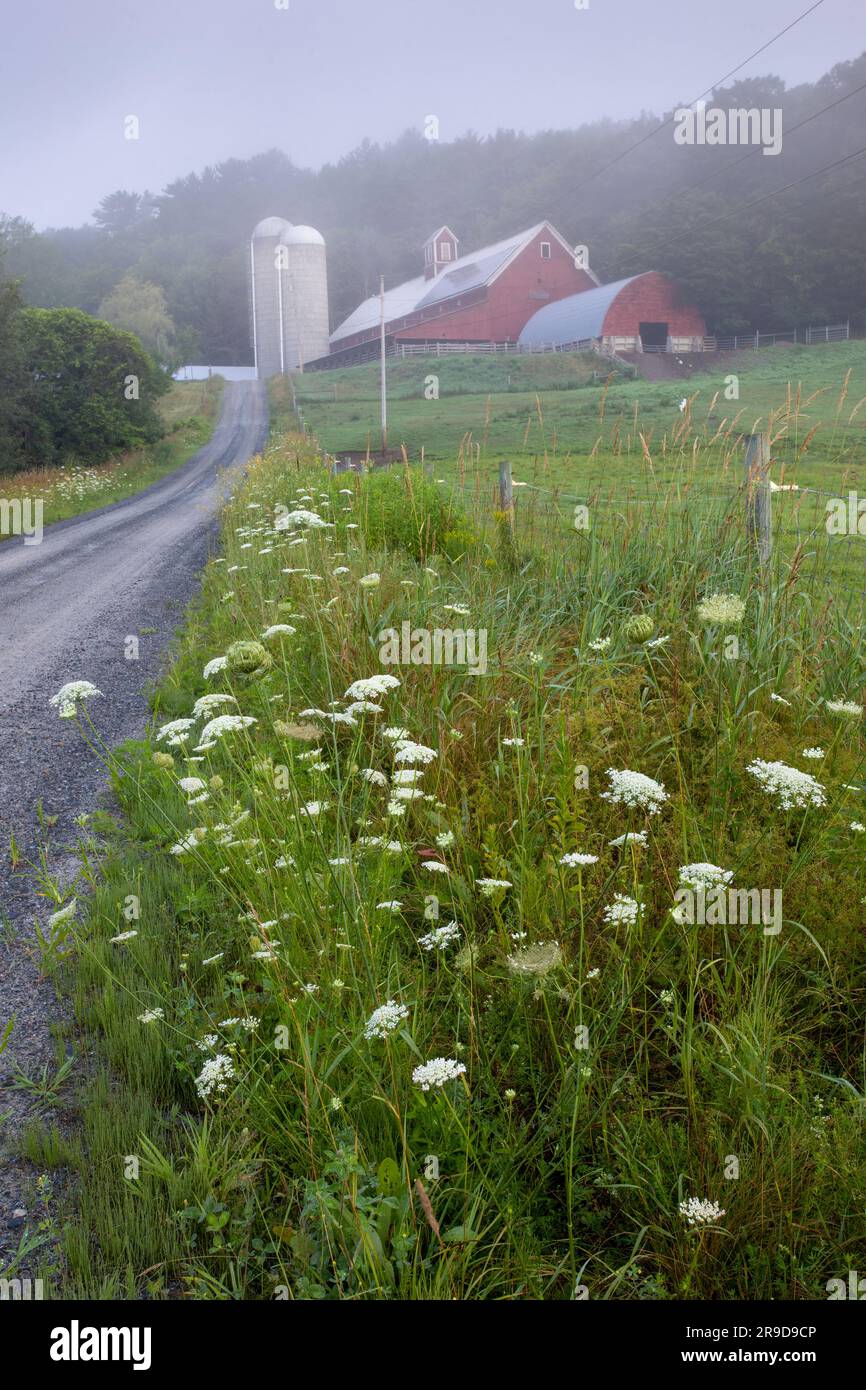 Ryegate vermont hi-res stock photography and images - Alamy