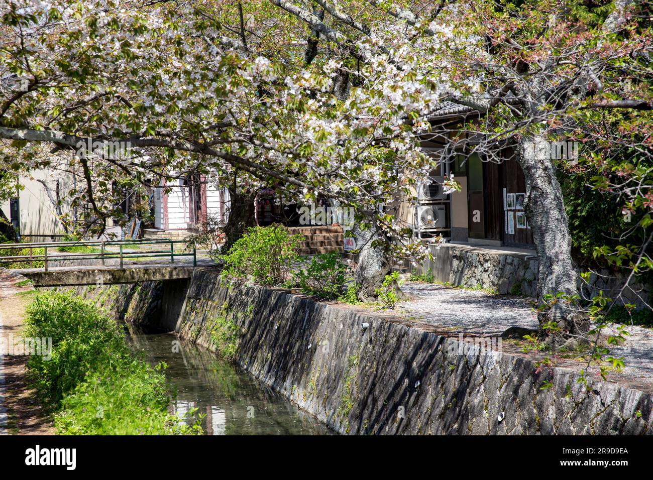 The Philosophers path walk in Kyoto Japan, picturesque scenic walk ...