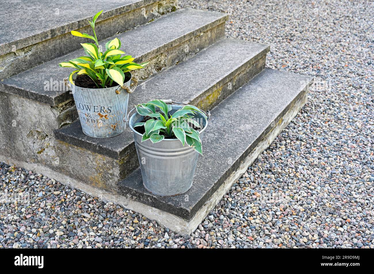 Buckets with flowers standing on stone stairs outside house Stock Photo ...