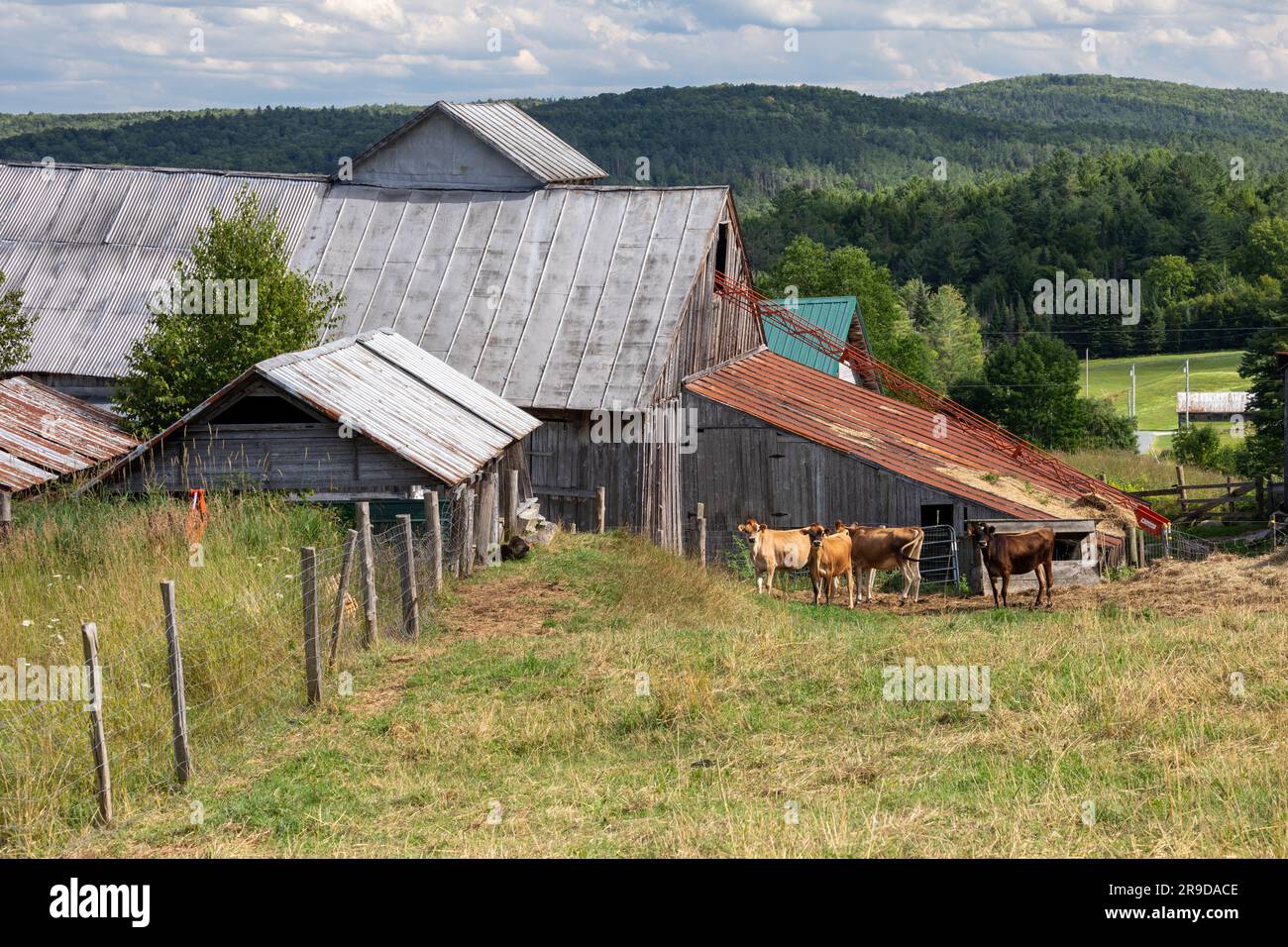 Ryegate vermont hi-res stock photography and images - Alamy