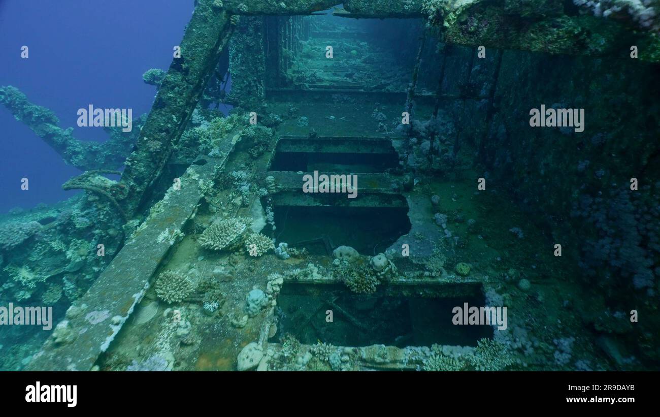 Red Sea, Egypt. 24th June, 2023. Deck grown with corals of ferry Salem ...