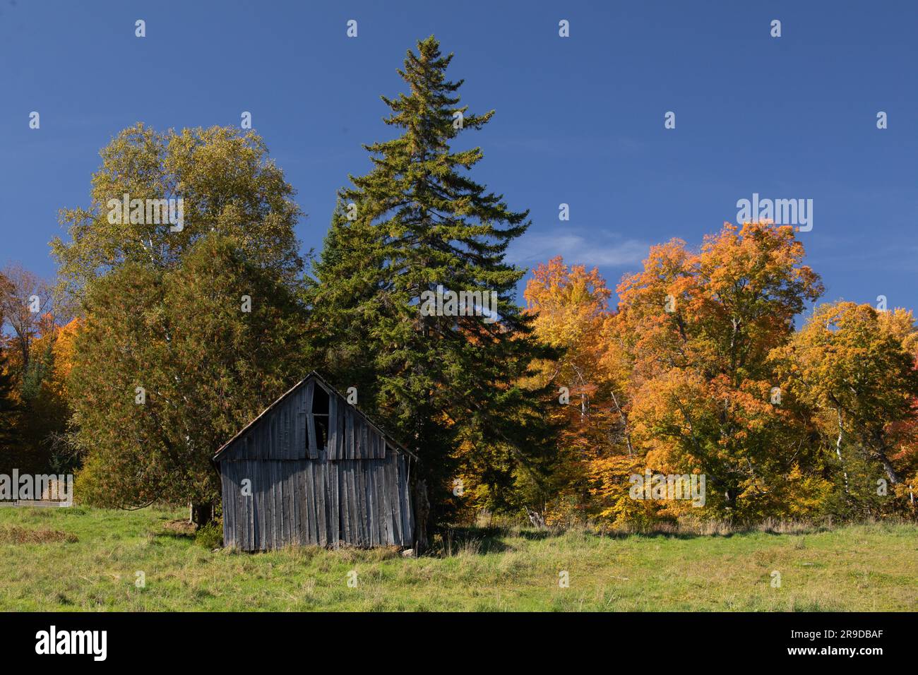 South kirby hi-res stock photography and images - Alamy