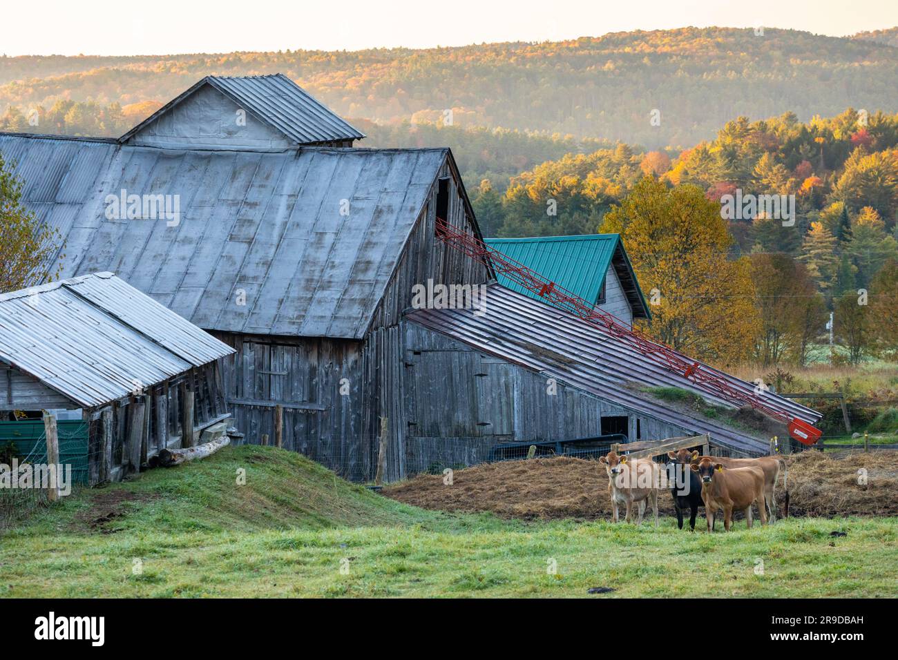 Ryegate vermont hi-res stock photography and images - Alamy