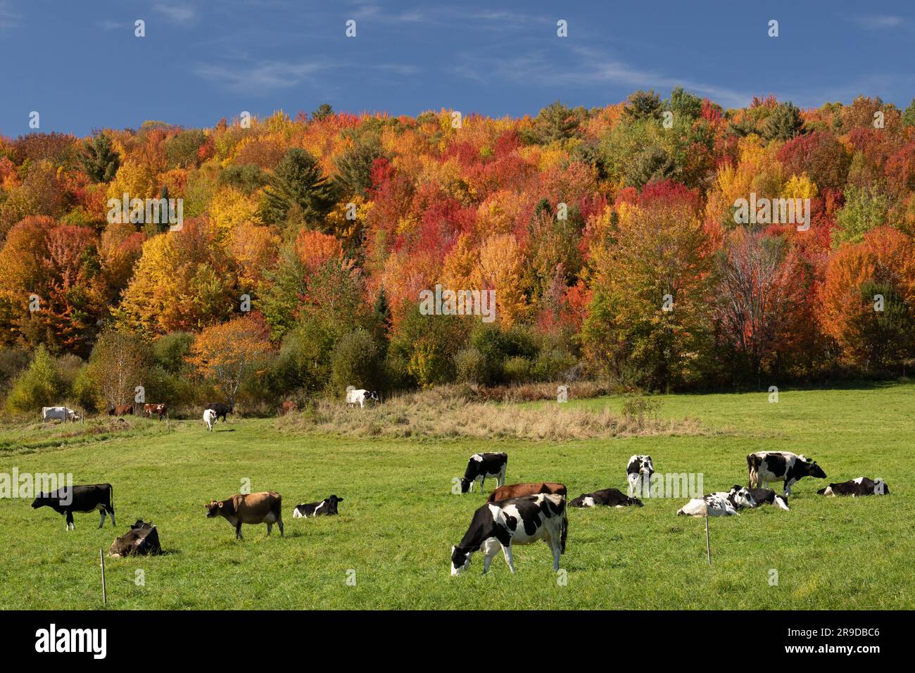 South kirby hi-res stock photography and images - Alamy