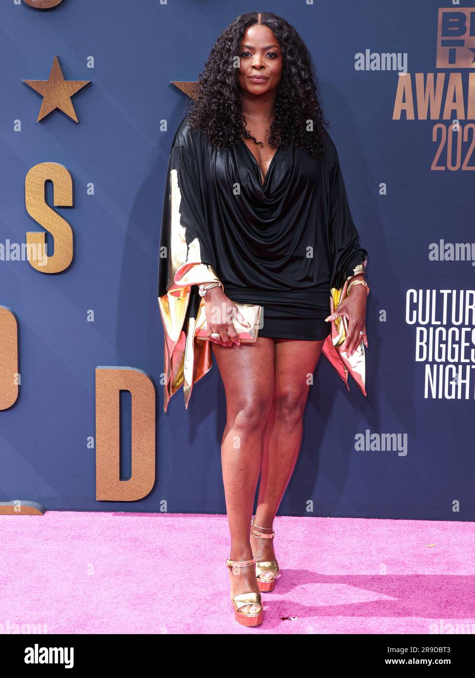 LOS ANGELES, CALIFORNIA, USA - JUNE 25: Janelle James wearing Georges ...