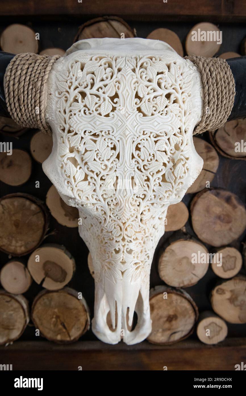 Decorative carved skull of longhorn bull with wooden background Stock ...