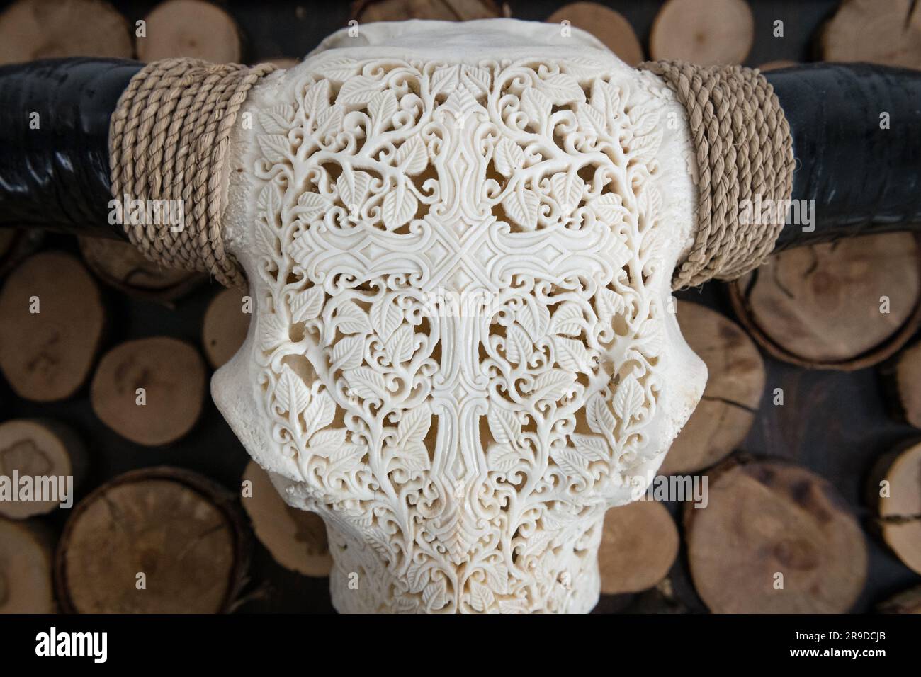 Detail of cross carved on skull of longhorn bull with wooden background ...