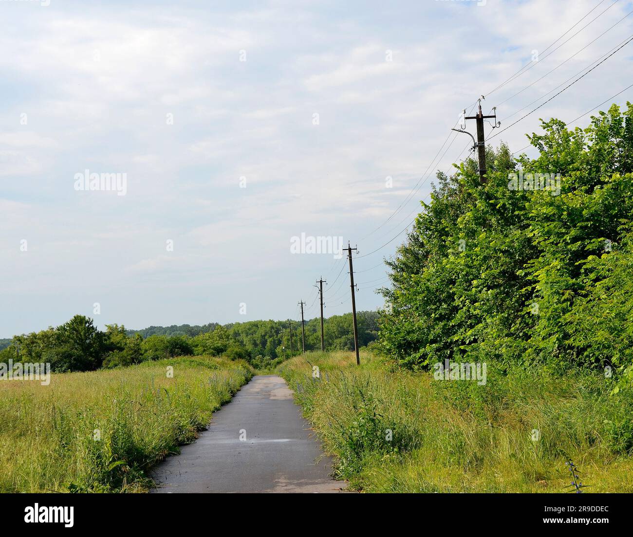 Beautiful empty asphalt road in countryside on colored background Stock ...