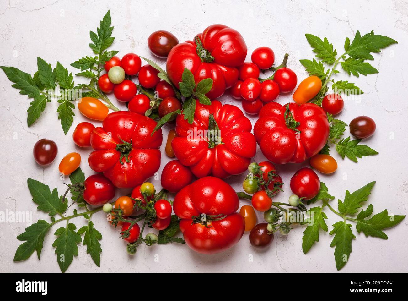 Various fresh tomatoes with green leaves. Top view Stock Photo - Alamy