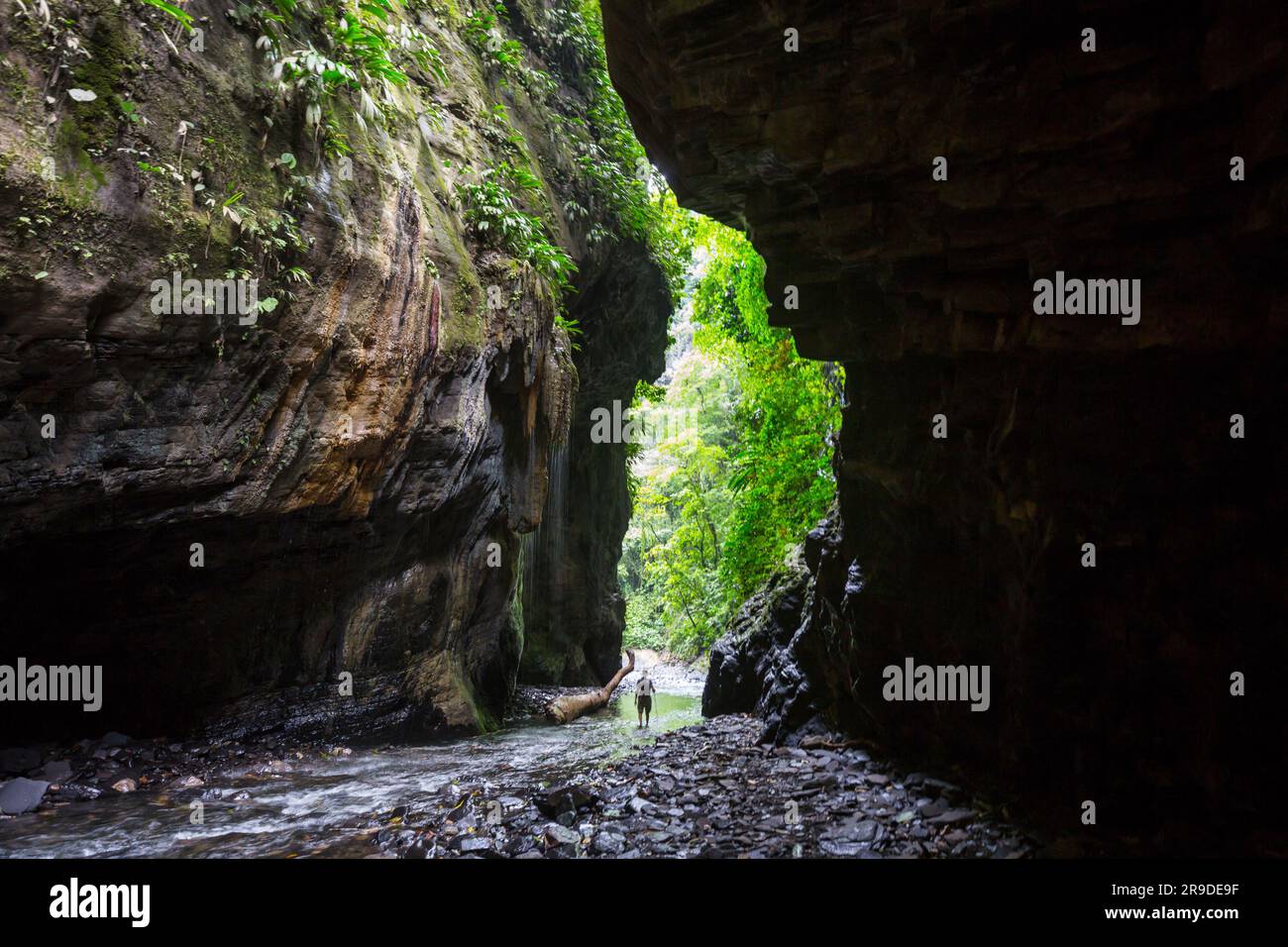 Canyon de la Cristalina in Colombia, South America Stock Photo - Alamy