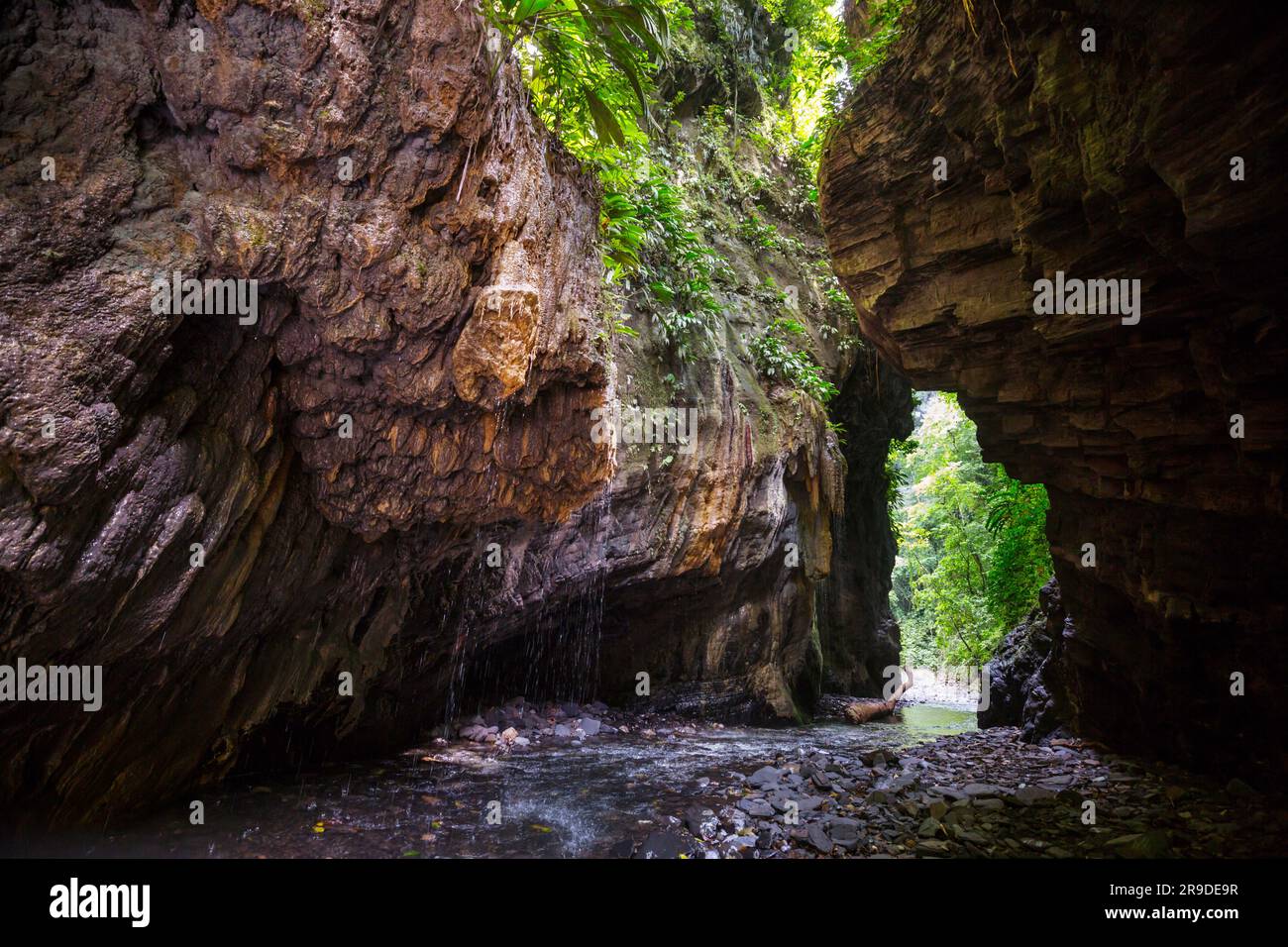 Canyon de la Cristalina in Colombia, South America Stock Photo - Alamy