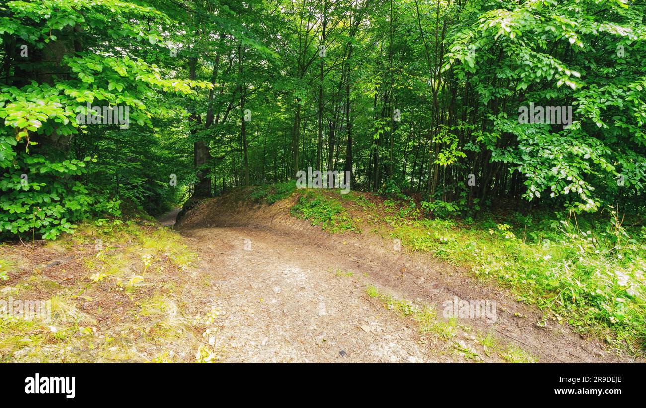 travel adventure in natural forest. trail path through wild scenery ...