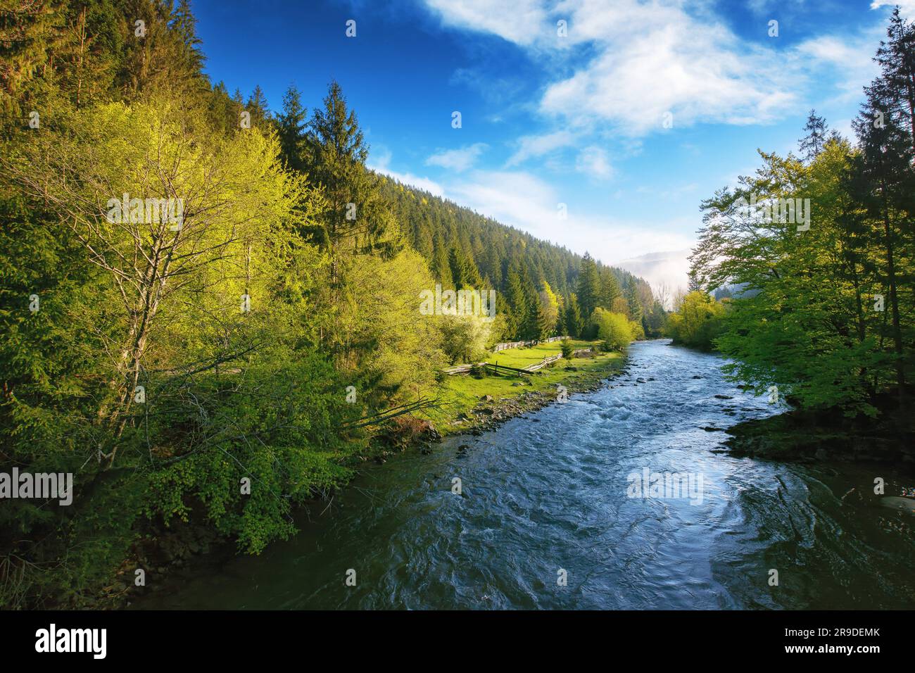 mountain river on a foggy morning. misty nature scenery in early spring ...