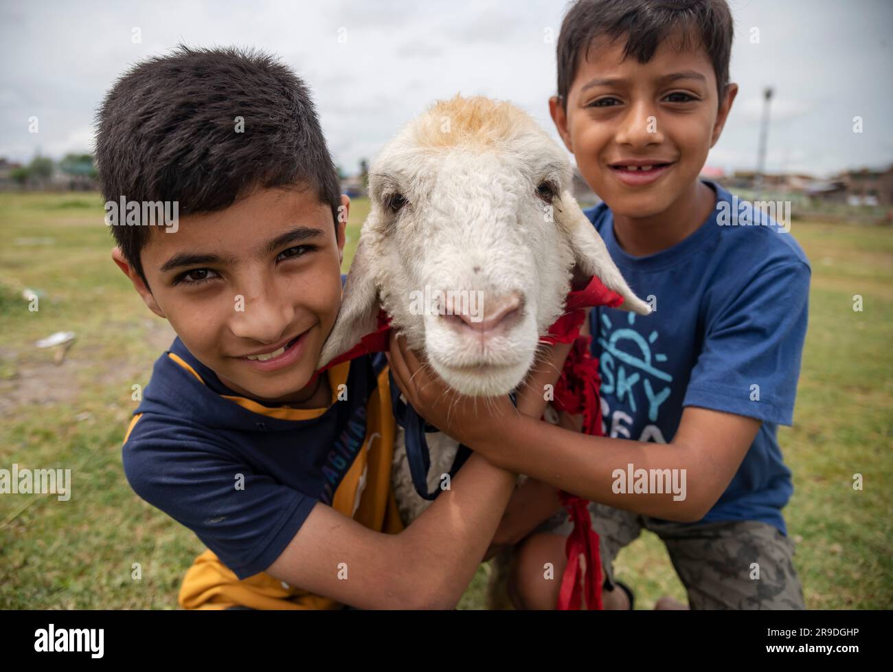 Srinagar, India. 26th June, 2023. Kashmiri kids hold a sheep at a ...