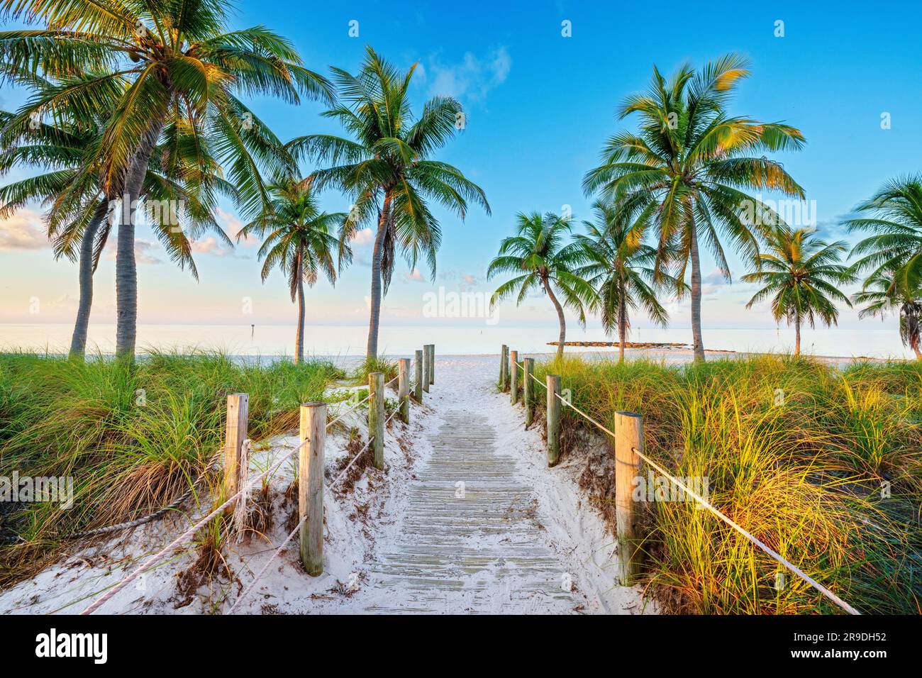 Tropical beach seaside palm trees rocks hi-res stock photography and images - Alamy