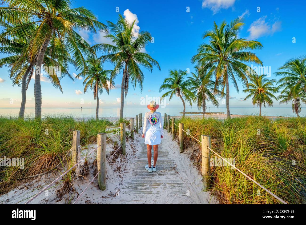 White sand beach framed palm hi-res stock photography and images - Alamy