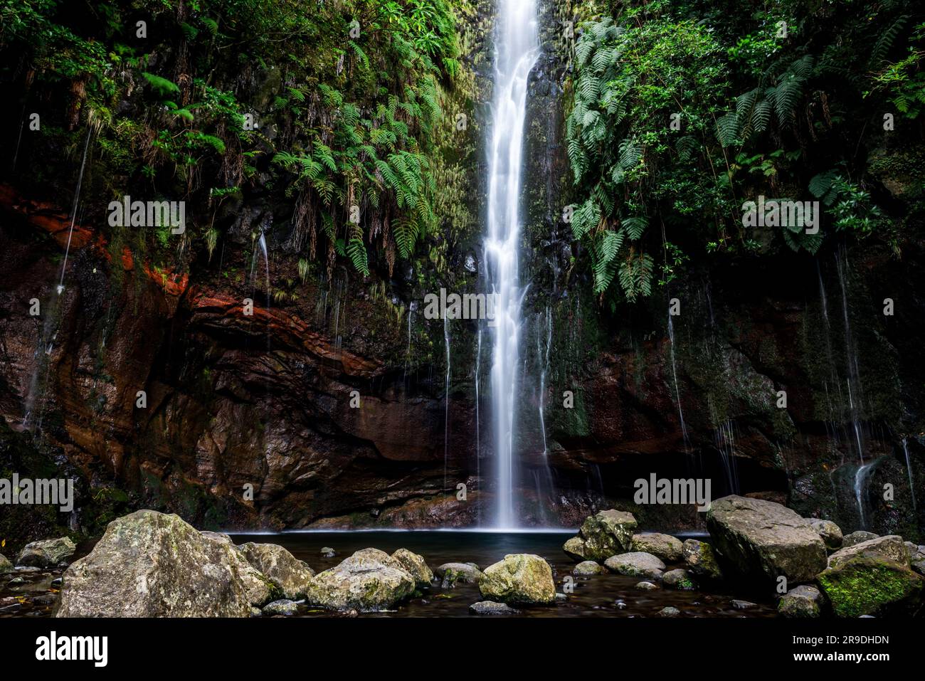 25 Fontes Waterfall and springs in Rabacal, Medeira island of Portugal ...