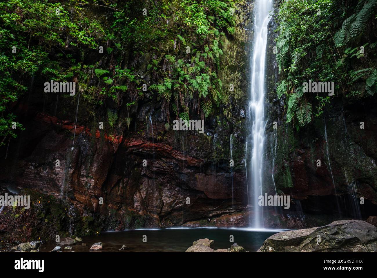 25 Fontes Waterfall and springs in Rabacal, Medeira island of Portugal ...