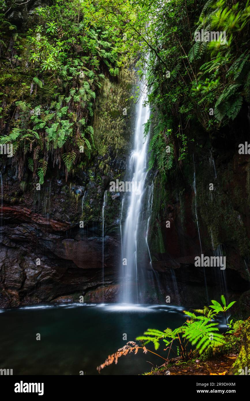 25 Fontes Waterfall and springs in Rabacal, Medeira island of Portugal ...