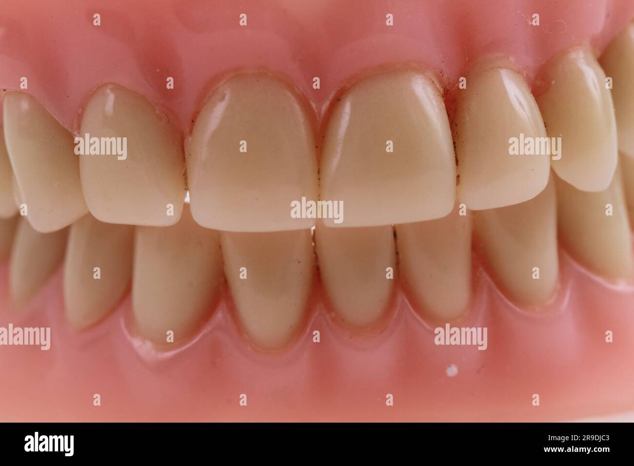 detail plastic teeth as nice dentist background Stock Photo - Alamy