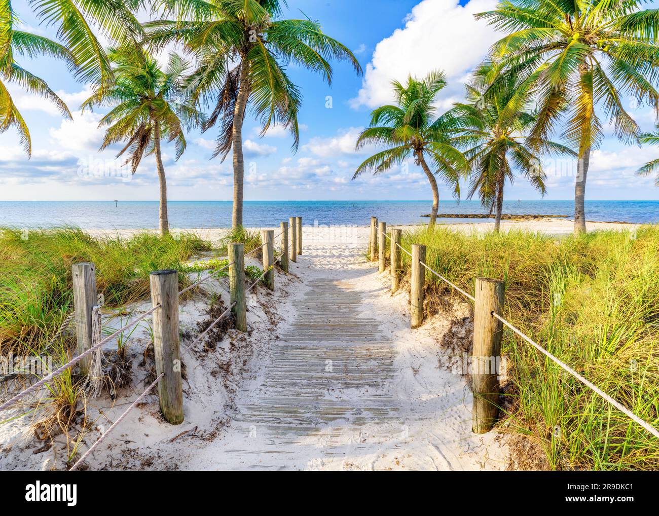 Beautiful sandy beach palms fishing hi-res stock photography and images ...