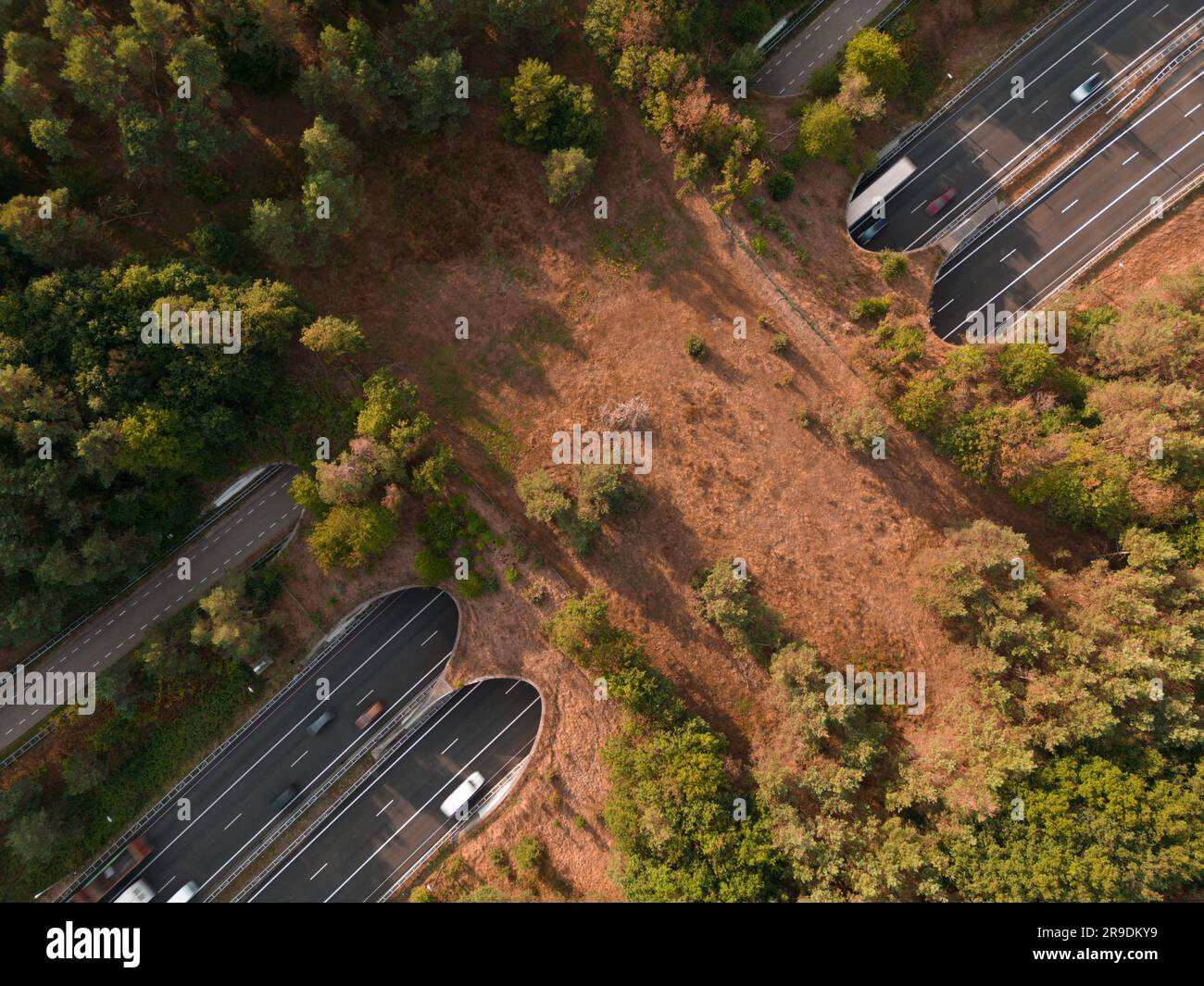 An aerial drone photo of a wild viaduct or ecoduct in the Netherlands ...