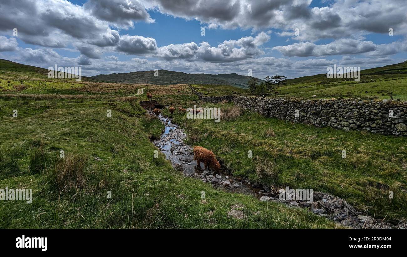 Lake District Landscape around Ambleside, Windemere and Grasmere walk ...