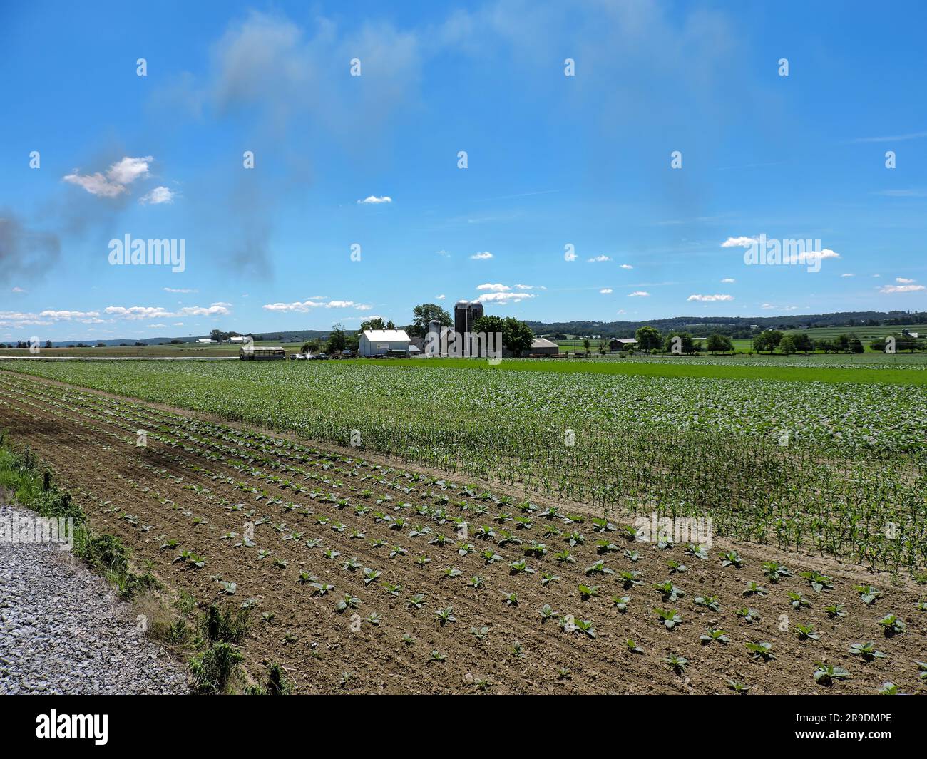 Farm crops surrounded in trees hi-res stock photography and images - Alamy